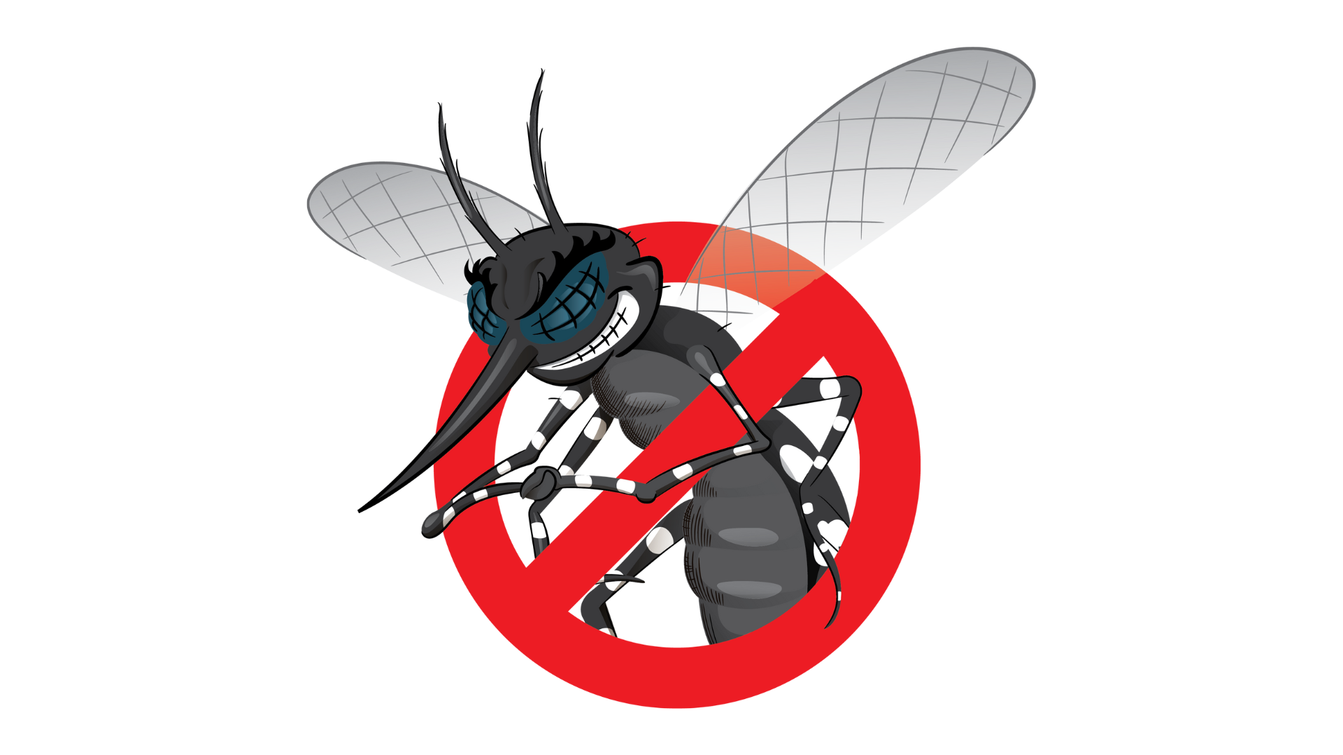 No Mosquito Png No Mosquito Sign No Mosquito Sign Illustration